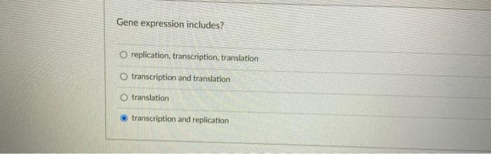Solved Gene expression includes? replication, transcription, | Chegg.com