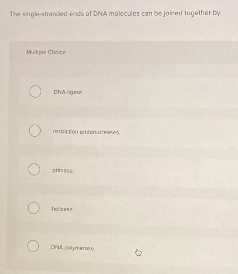 Solved The single-stranded ends of DNA molecules can be | Chegg.com