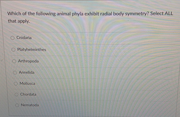 Solved Which of the following animal phyla exhibit radial | Chegg.com