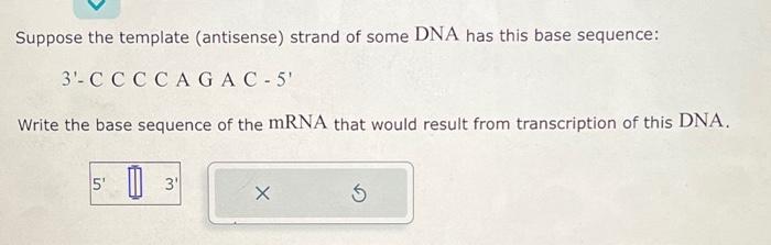 Solved Suppose the template (antisense) strand of some DNA | Chegg.com