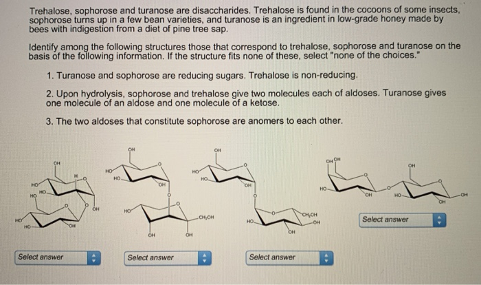 Trehalose, sophorose and turanose are disaccharides. | Chegg.com