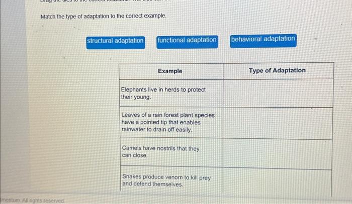 Solved Match the type of adaptation to the correct example. | Chegg.com