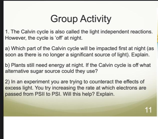 Solved Group Activity 1. The Calvin cycle is also called the | Chegg.com