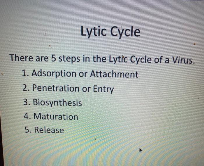 Solved Lytic Cycle There are 5 steps in the Lytic Cycle of a | Chegg.com