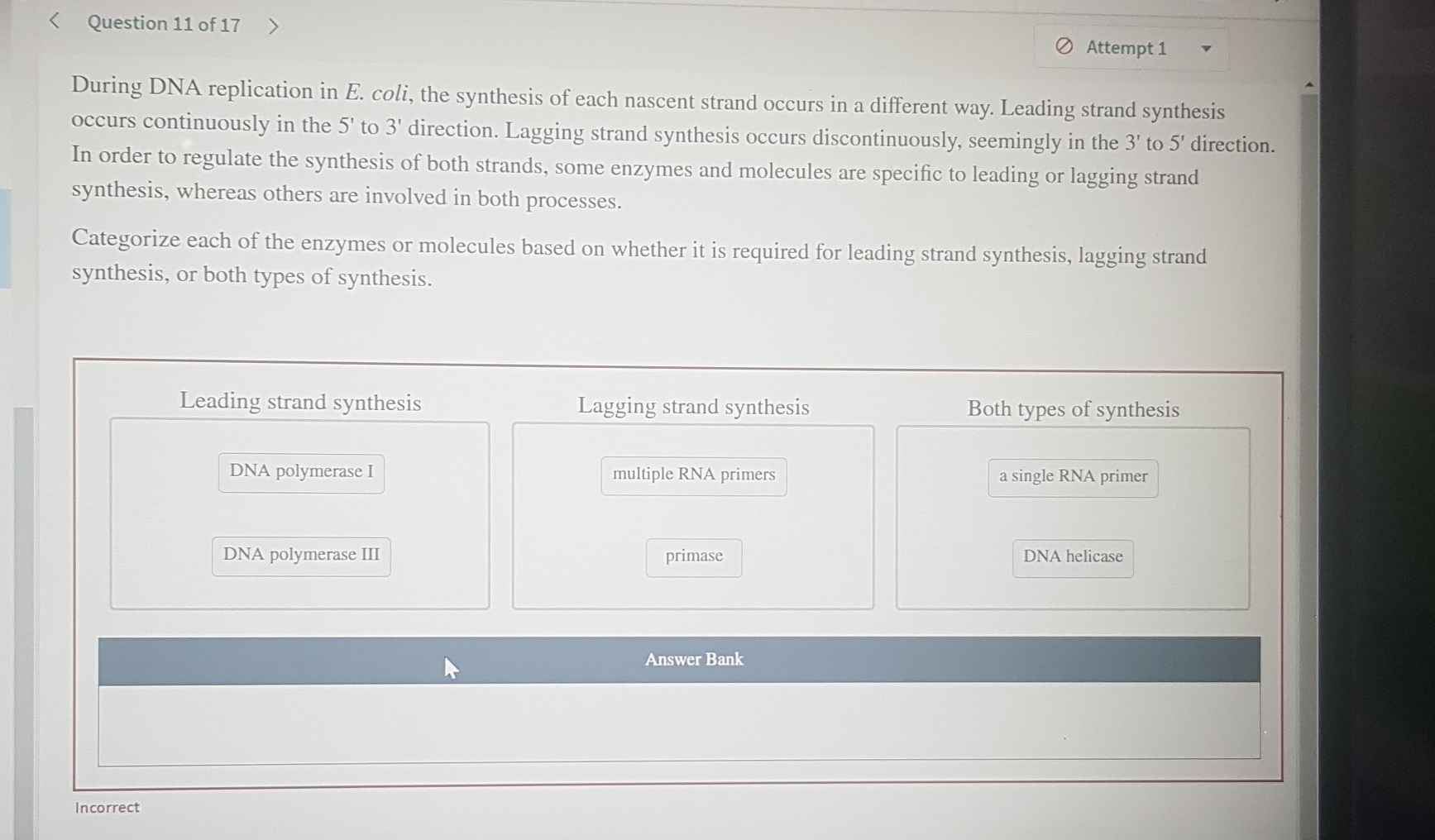 Solved Question 11 ﻿of 17Attempt 1During DNA replication in | Chegg.com