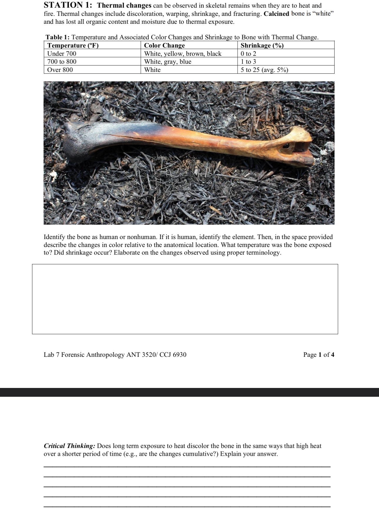 Solved STATION 1: Thermal changes can be observed in | Chegg.com