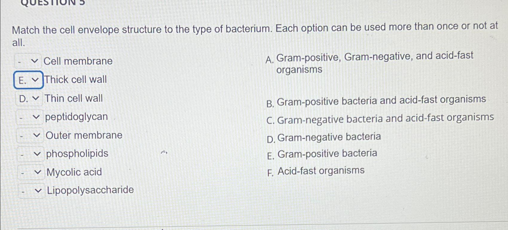 Solved Match the cell envelope structure to the type of | Chegg.com