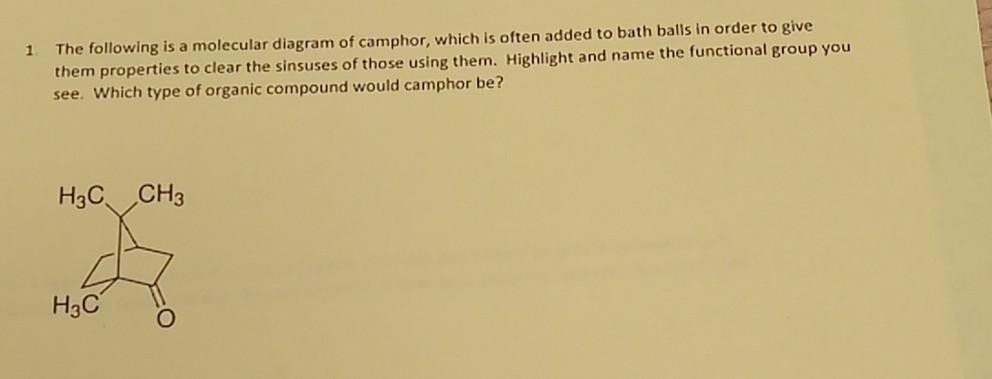 Solved 1. The following is a molecular diagram of camphor, | Chegg.com