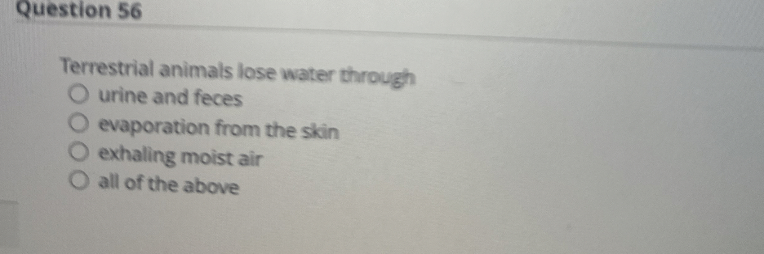 Solved Question 56Terrestrial animals lose water | Chegg.com