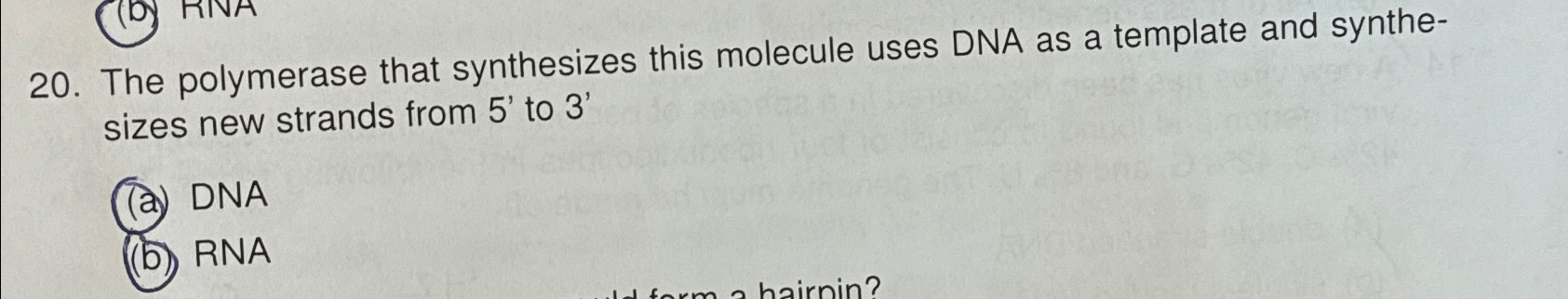 Solved The polymerase that synthesizes this molecule uses | Chegg.com