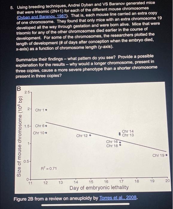 5. Using breeding techniques, Andrei Dyban and VS | Chegg.com