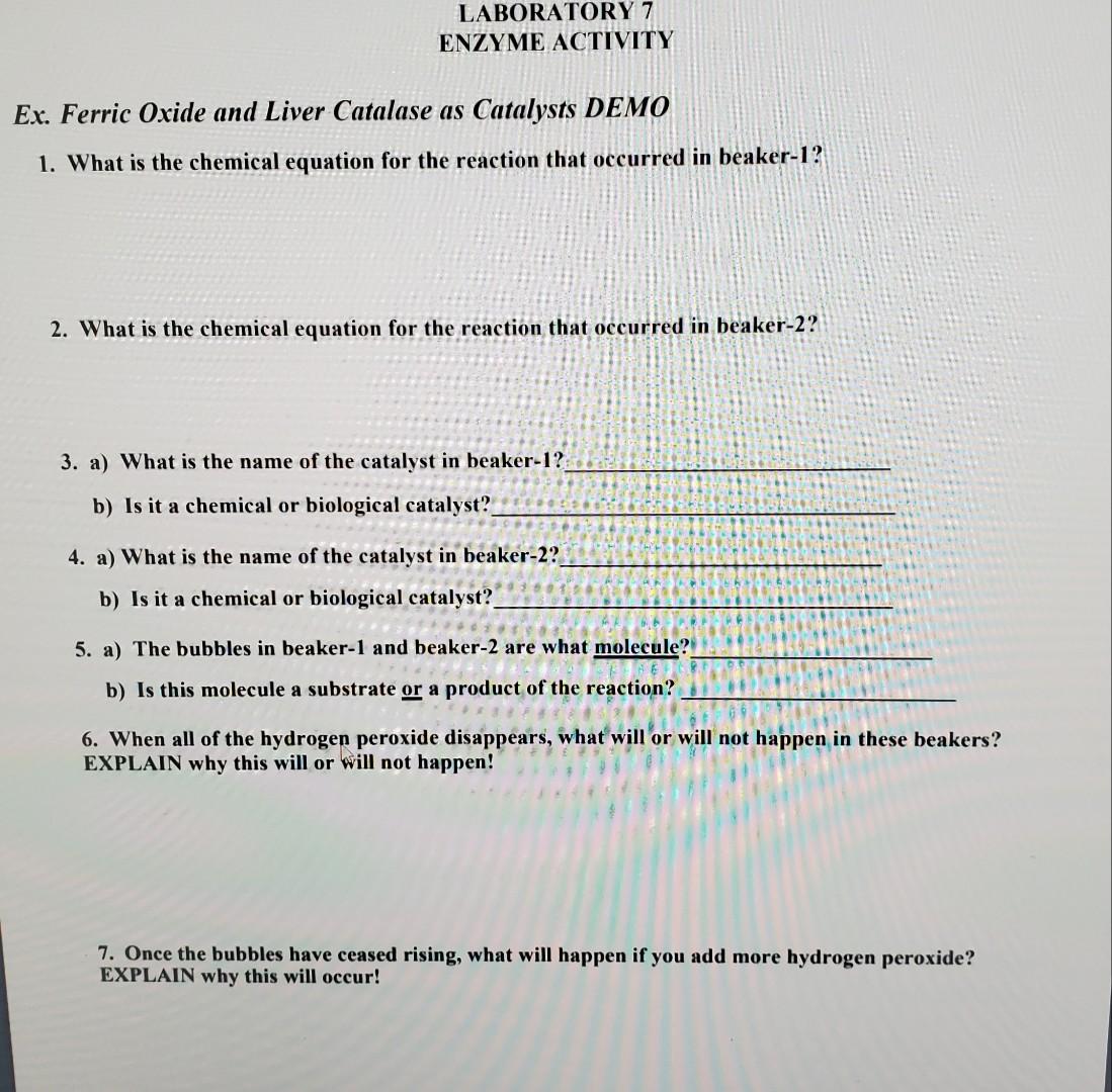 Ex. Digestion of Starch by Amylase Starch is an | Chegg.com