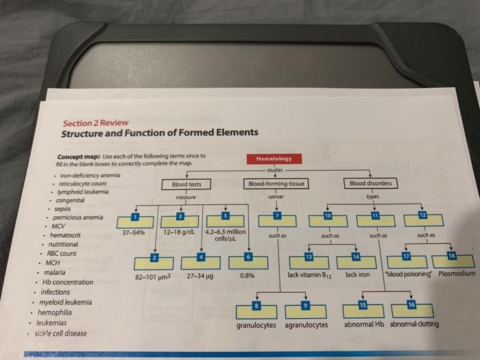 Solved Section 2 Review Structure and Function of Formed | Chegg.com