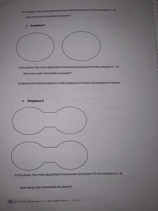 Sn this phese, how many duplicated chomosomes are | Chegg.com