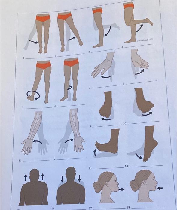 9 11 12 13 | Chegg.com