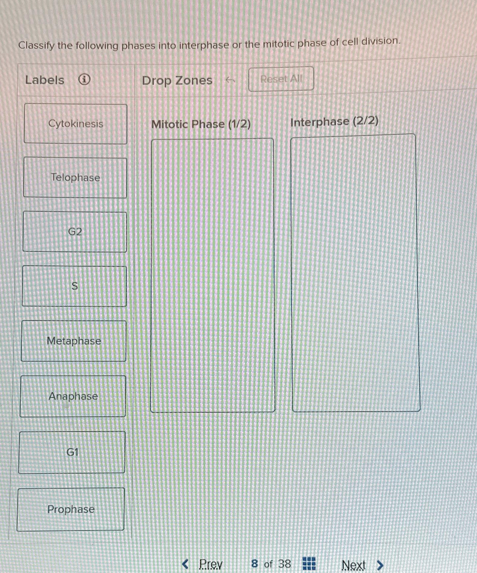 Solved Classify the following phases into interphase or the | Chegg.com
