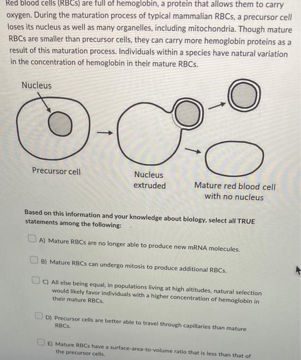 Solved The EOT1 gene is required to promote toe development | Chegg.com