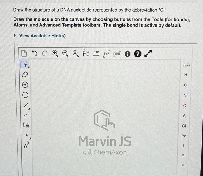 Solved Draw the structure of a DNA nucleotide represented by | Chegg.com