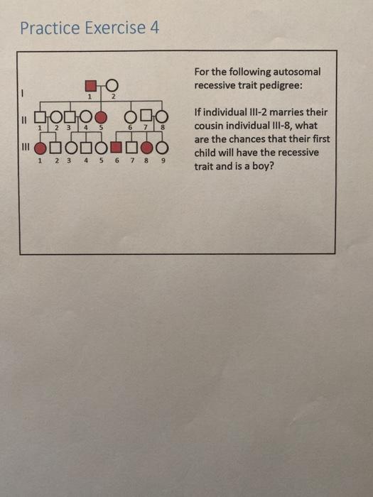 Solved Practice Exercise 4 O For the following autosomal | Chegg.com Solved Practice Exercise 4 O For the following autosomal | Chegg.com