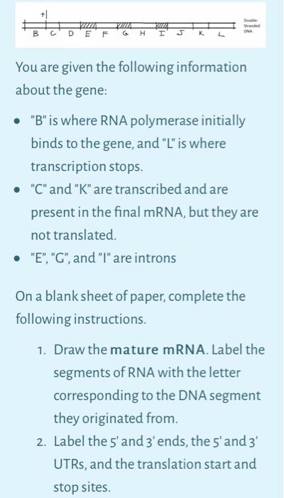 Solved +1 ON BCDEFGH I K You are given the following | Chegg.com