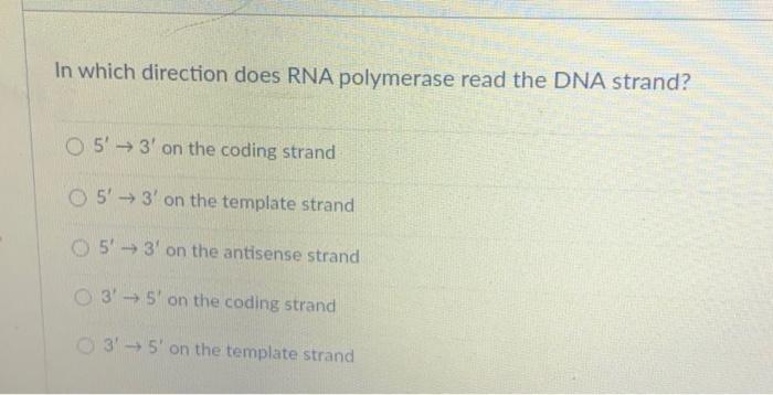 Solved In which direction does RNA polymerase read the DNA | Chegg.com