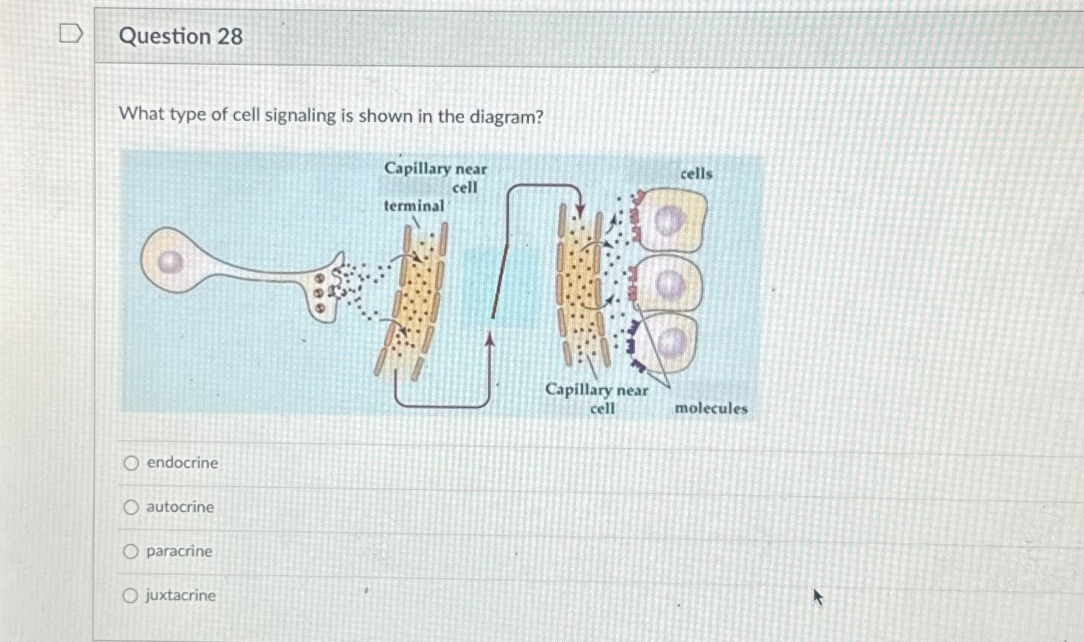 Solved Question 28What type of cell signaling is shown in | Chegg.com