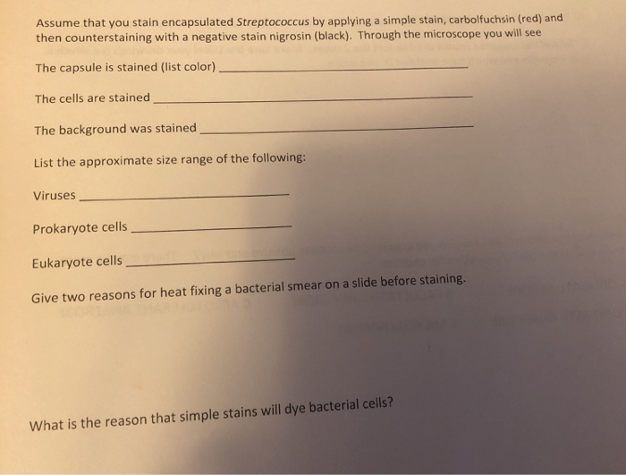 Solved Assume that you stain encapsulated Streptococcus by | Chegg.com