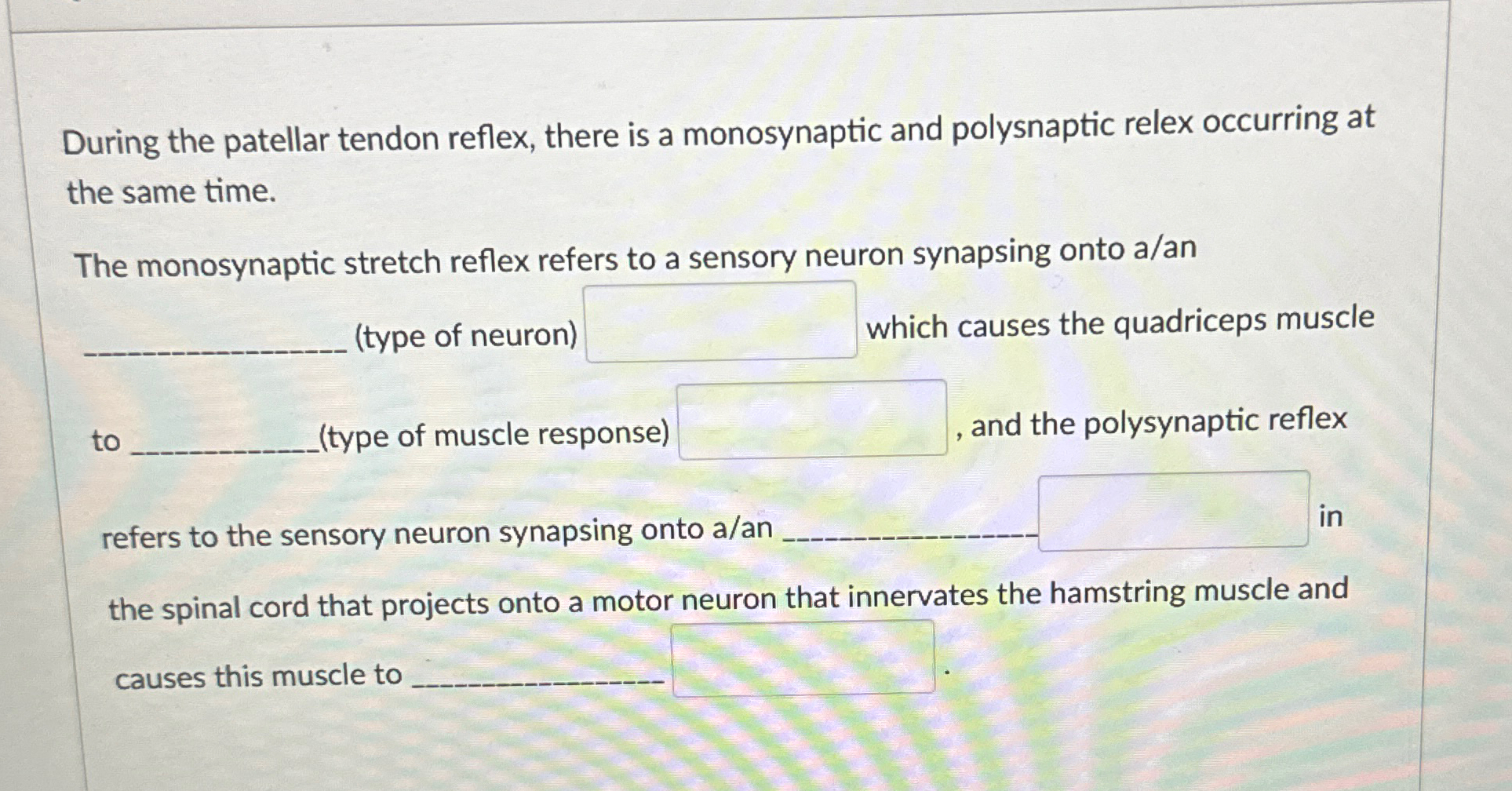 Solved During the patellar tendon reflex, there is a | Chegg.com