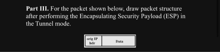 Solved Part III. For the packet shown below, draw packet | Chegg.com
