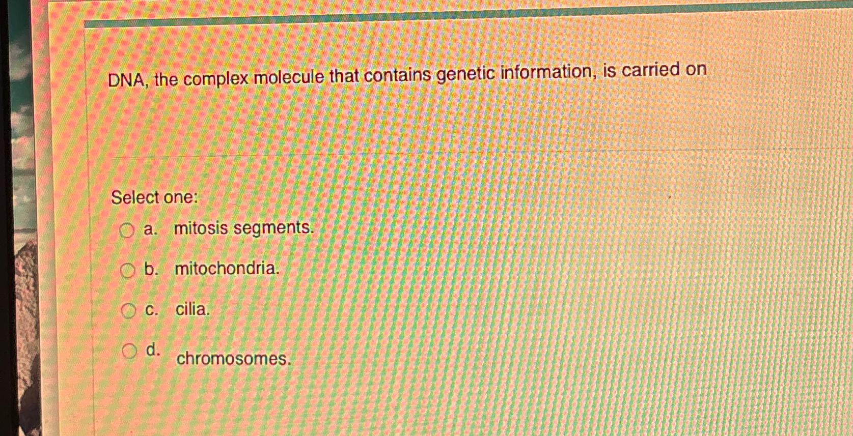 Solved Dna The Complex Molecule That Contains Genetic Chegg