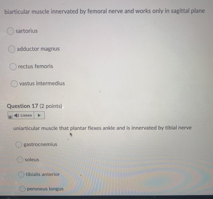 Solved biarticular muscle innervated by femoral nerve and | Chegg.com