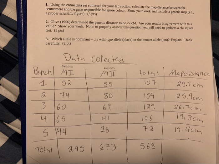 Solved 1 Using The Entire Data Set Collected For Your Lab Chegg