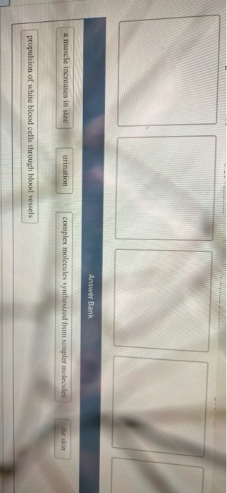 Solved Match each example to the appropriate characteristic | Chegg.com
