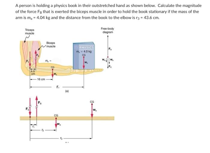 Solved A person is holding a physics book in their | Chegg.com