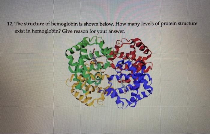 Solved 12. The structure of hemoglobin is shown below. How | Chegg.com