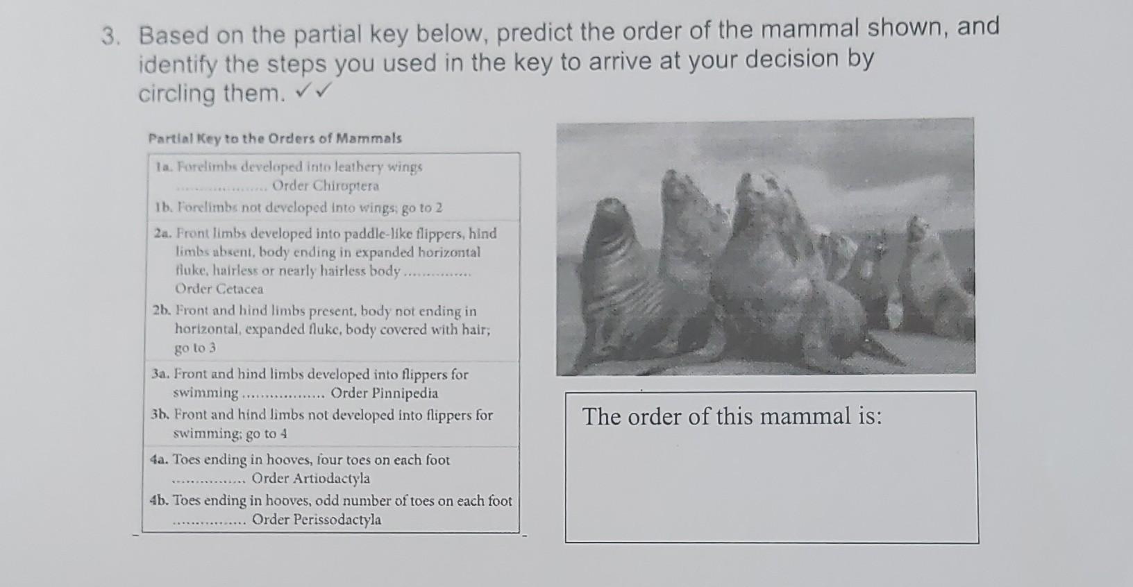 Solved Based on the partial key below, predict the order of | Chegg.com