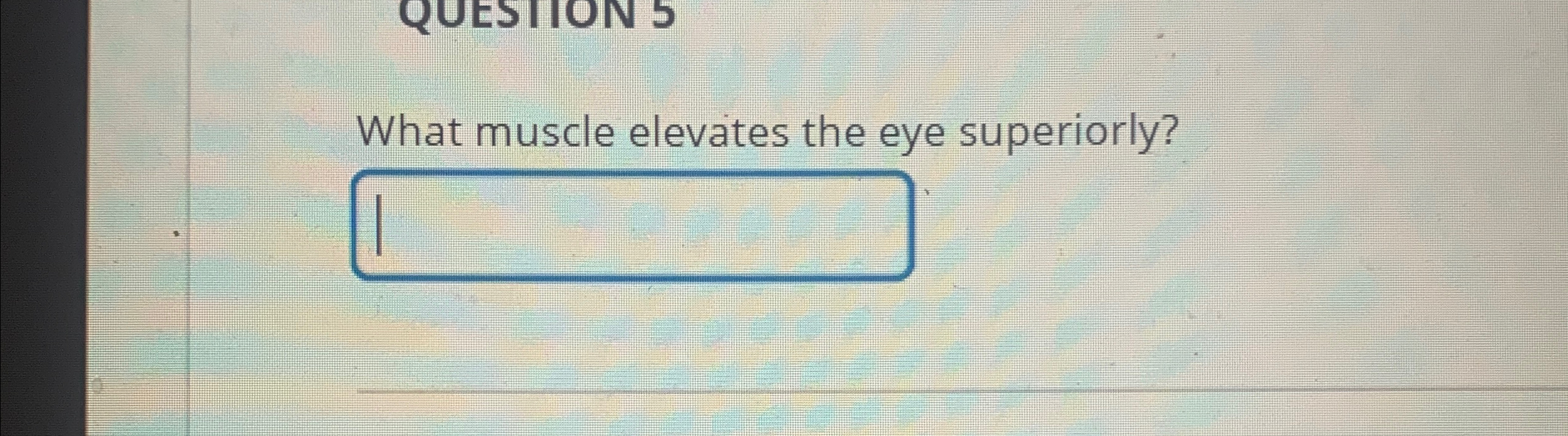Solved What muscle elevates the eye superiorly? | Chegg.com
