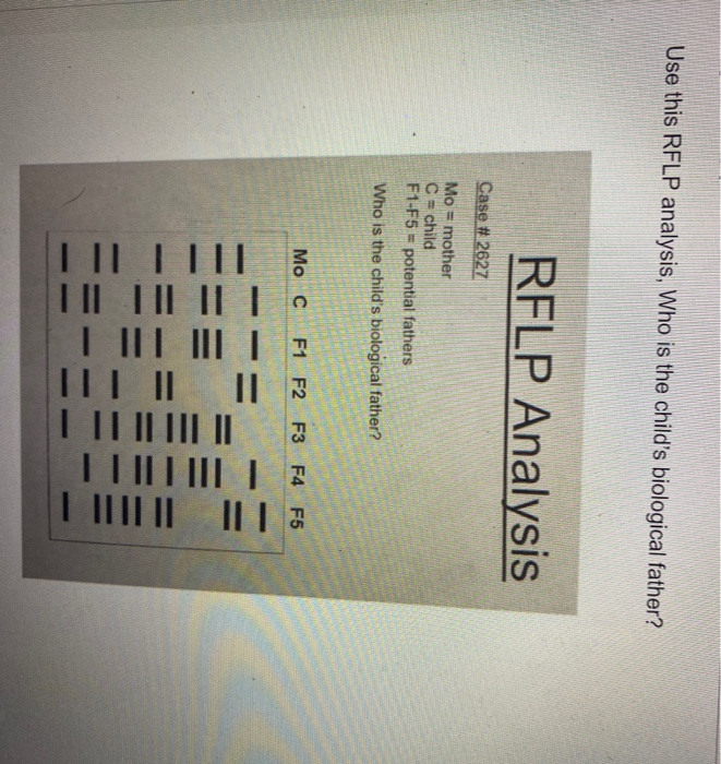 Solved Use this RFLP analysis, Who is the child's biological | Chegg.com