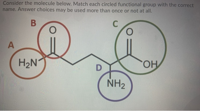 Solved Consider the molecule below. Match each circled | Chegg.com