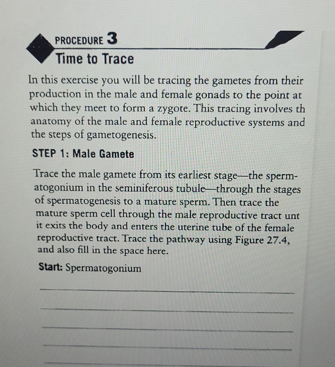Solved In this exercise you will be tracing the gametes from | Chegg.com