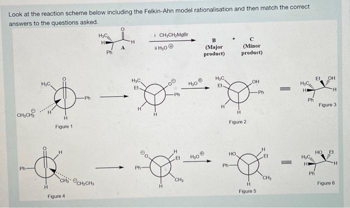 Solved Look at the reaction scheme below including the | Chegg.com