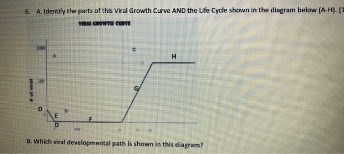 Solved 6. A. Identify the parts of this Viral Growth Curve | Chegg.com