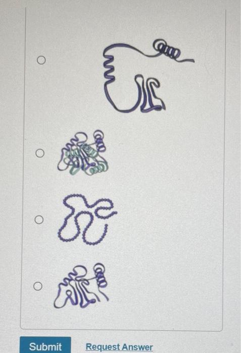 Which Of These Illustrates The Secondary Structure Of A Protein