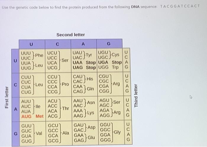 Solved Use the genetic code below to find the protein | Chegg.com