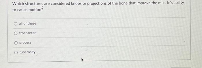 Solved Which structures are considered knobs or projections | Chegg.com