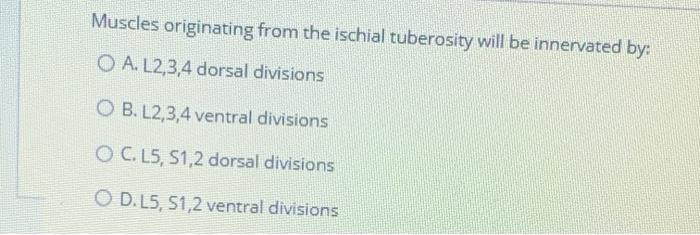 Solved Muscles originating from the ischial tuberosity will | Chegg.com