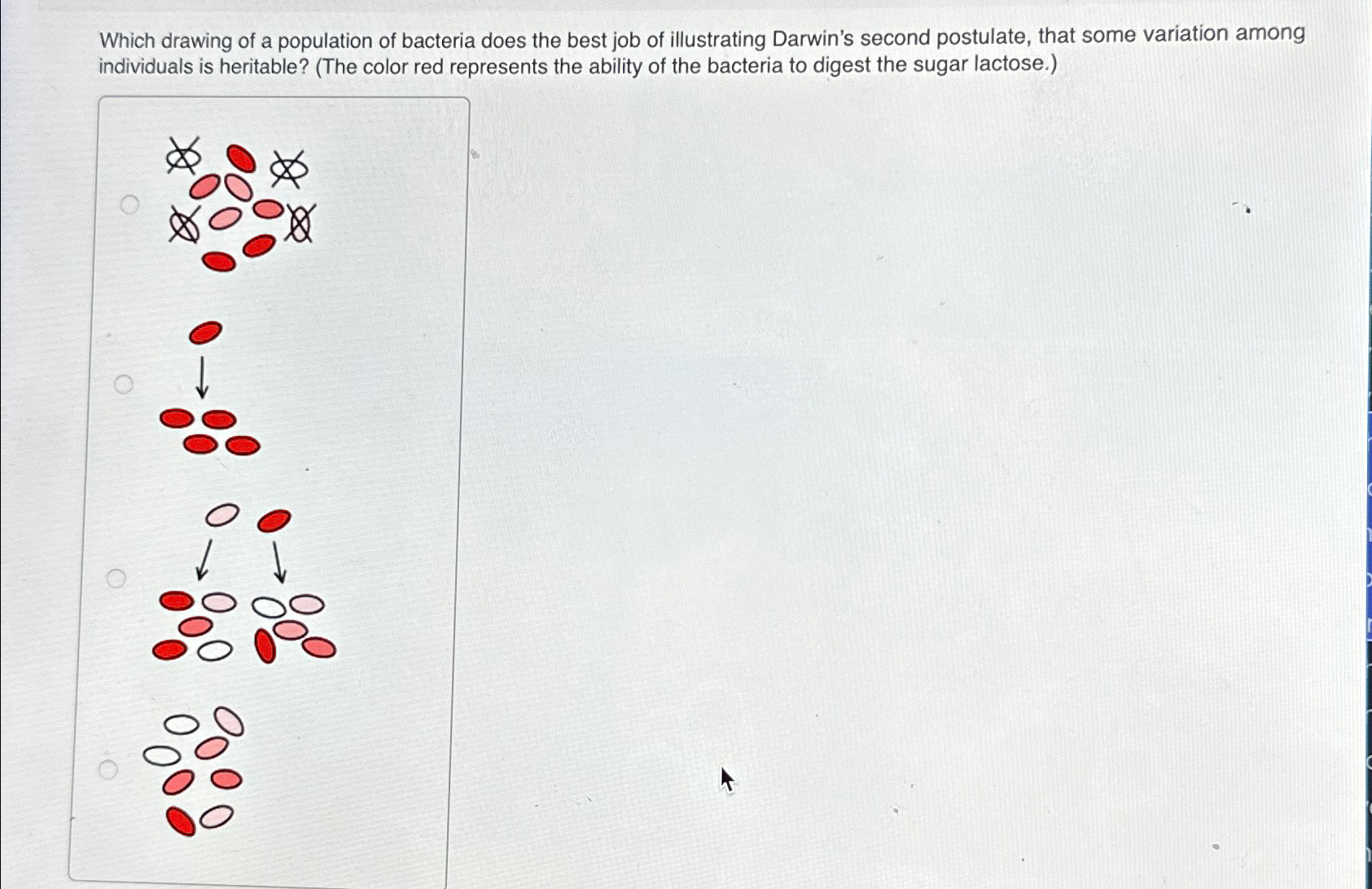 Solved Which drawing of a population of bacteria does the | Chegg.com