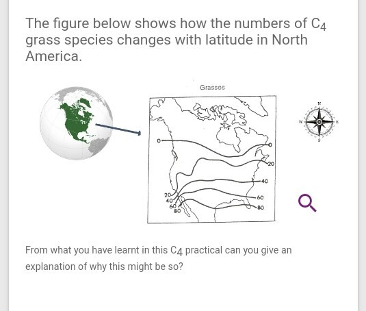 Solved The figure below shows how the numbers of C4 grass | Chegg.com