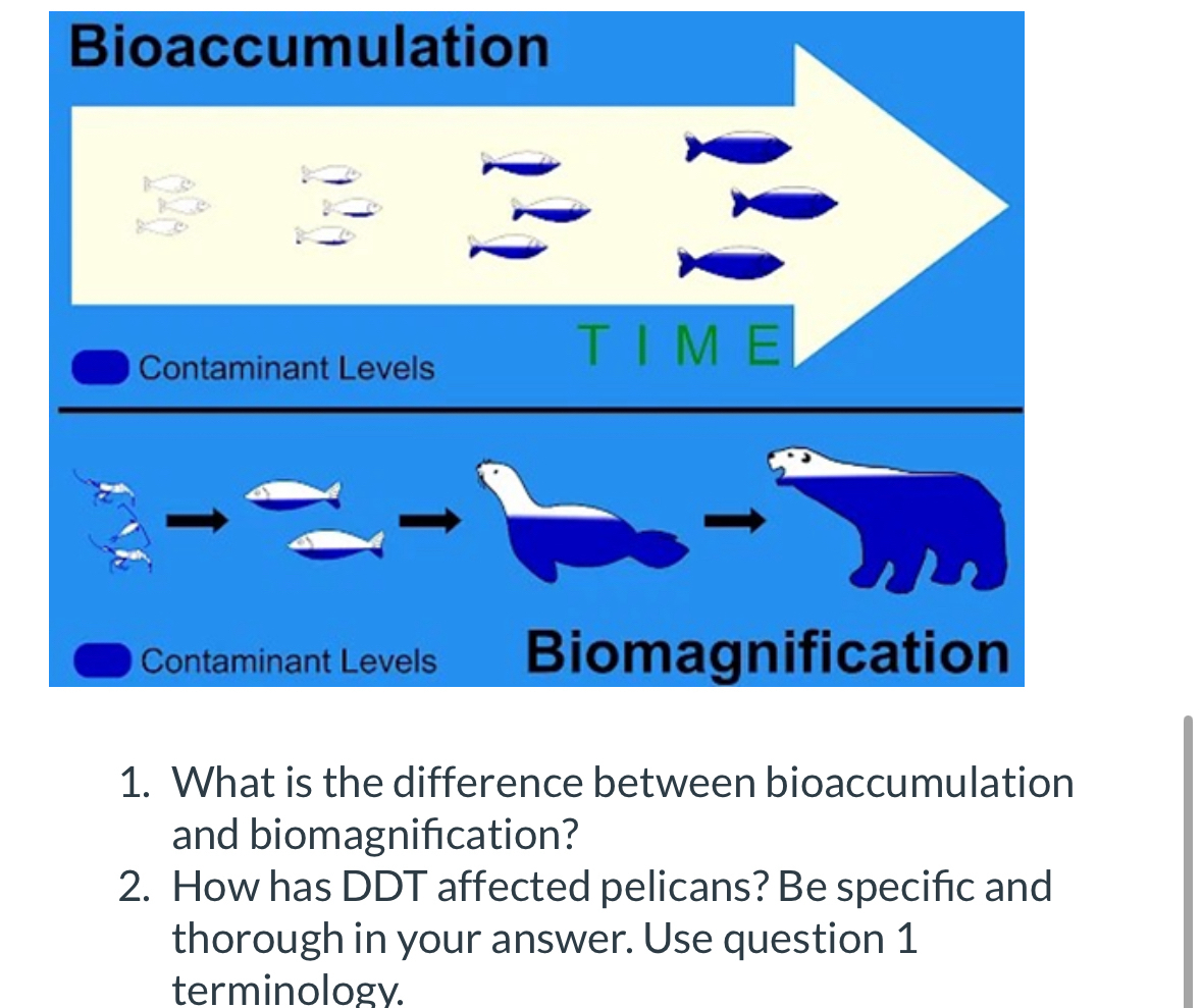 Solved What is the difference between bioaccumulation and | Chegg.com
