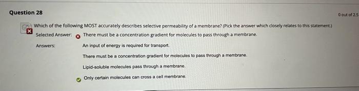 Solved Which of the following MOST accurately describes | Chegg.com